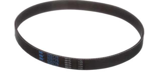 TAYLOR BELT, 025776